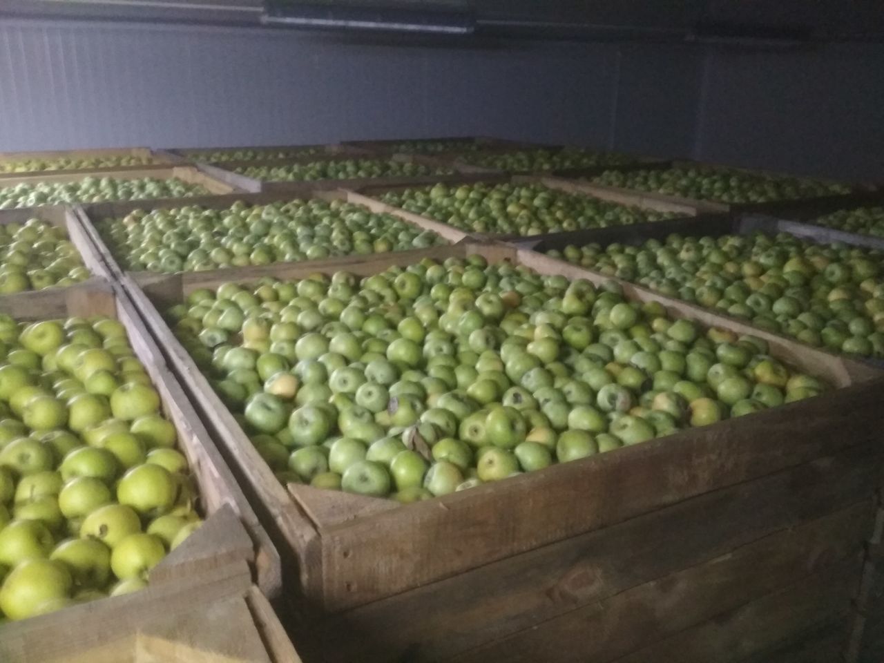 Vind mere Golden Delicios, Simirenco