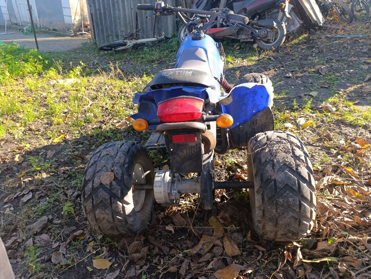 Altă marcă Quad an. 2006 cu rulaj 2000 mi, 3500 MDL
