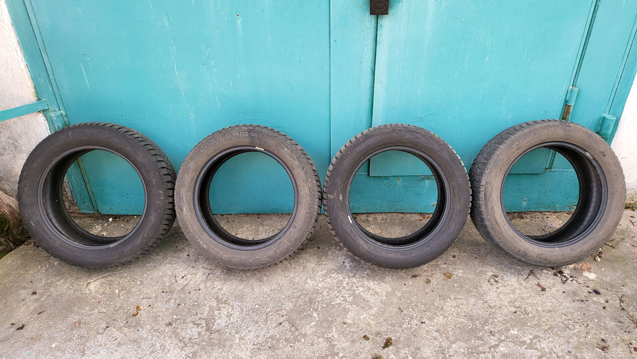 Nokian WR D4 205/55 R16