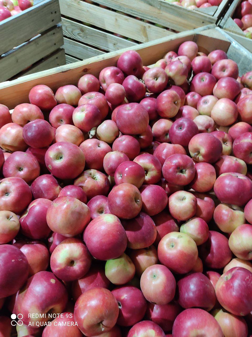 Айдаред Idared