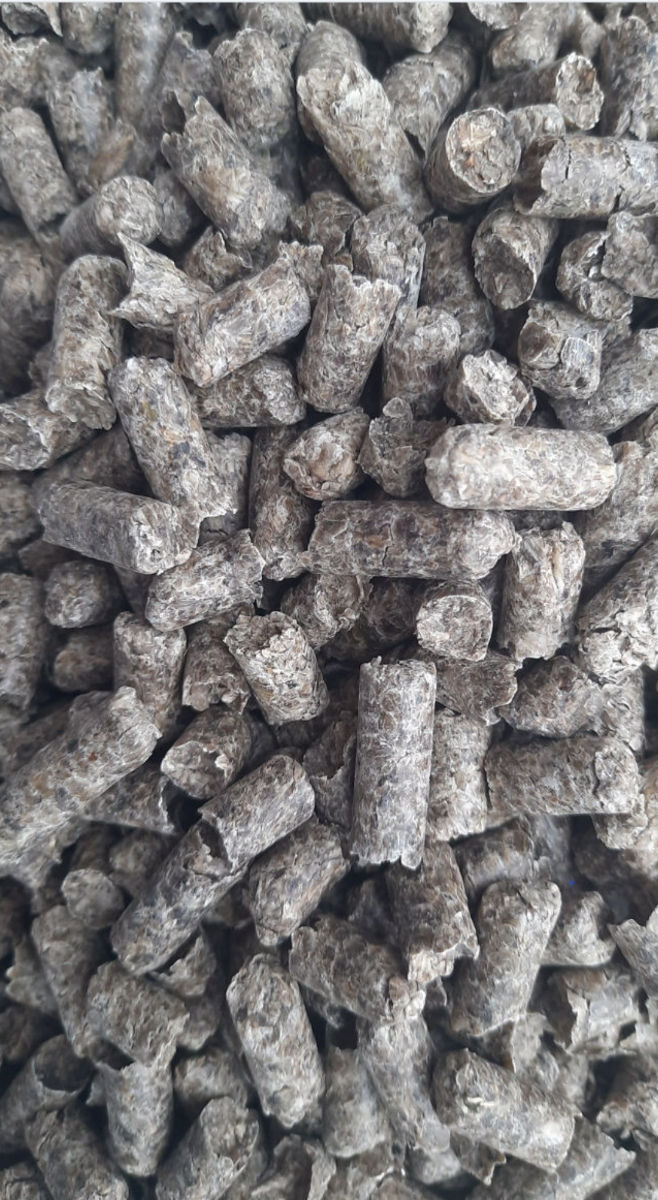 Macuc prajit și presat la rece