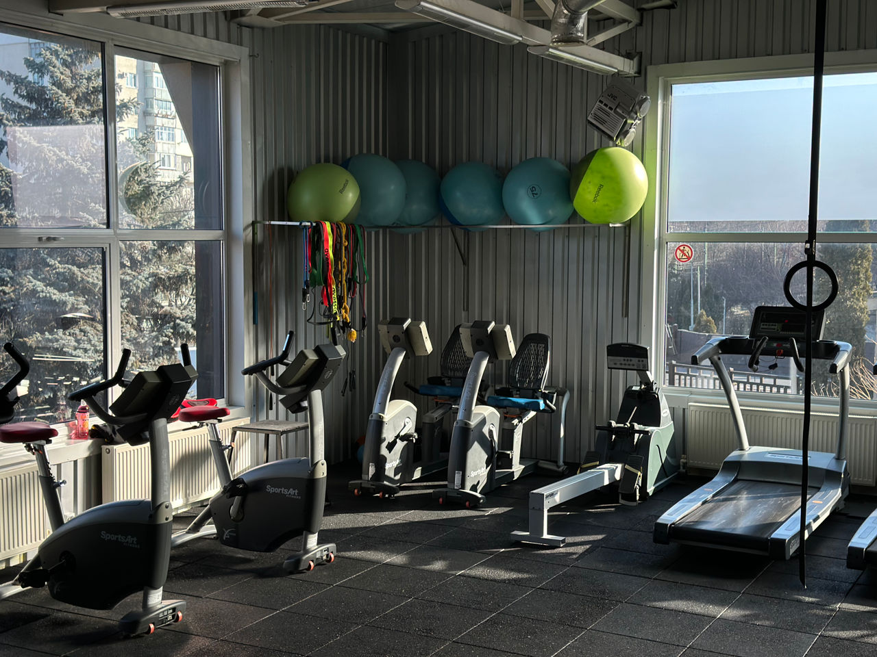 sala de forta (sec. Botanica)