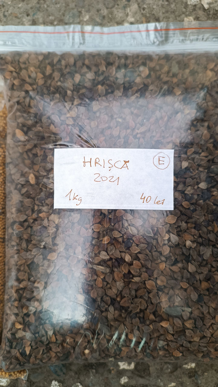 Semințe de siderate ambalate la kg