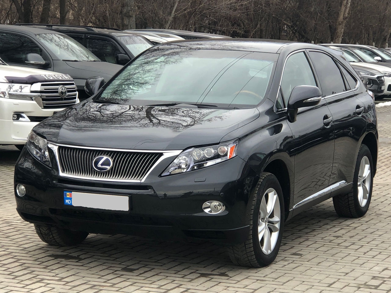 Lexus RX Series