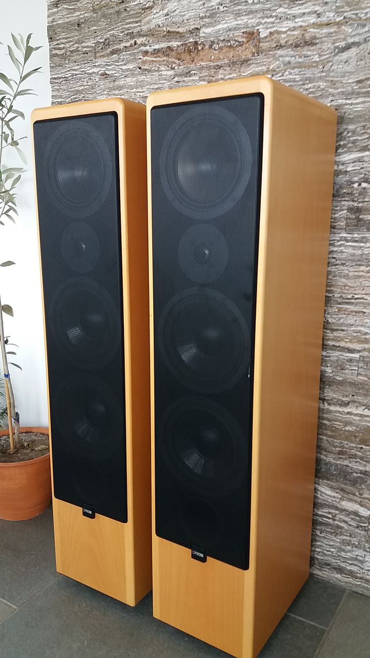 Canton Ergo 900 DC
