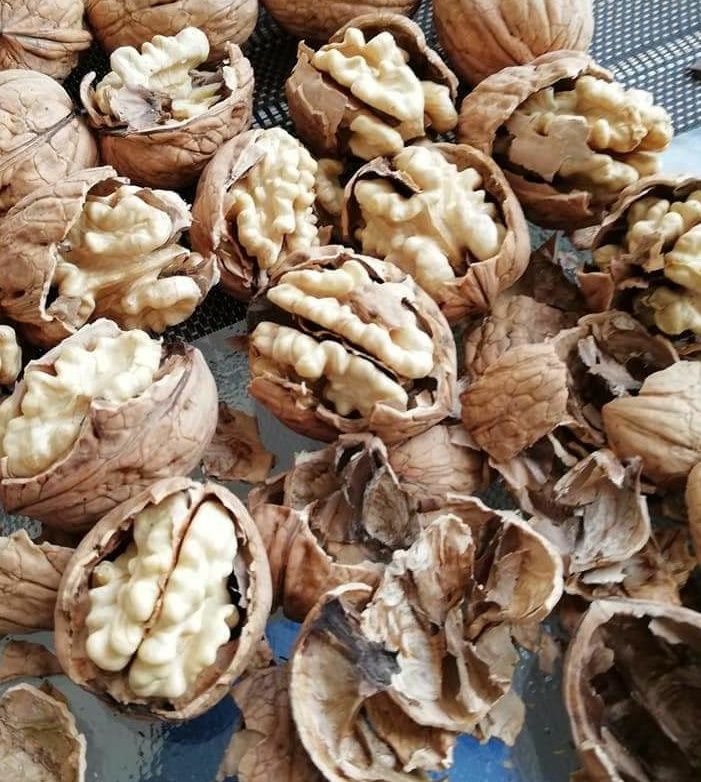 Cumpar nuci doar calitate buna 10-15 lei