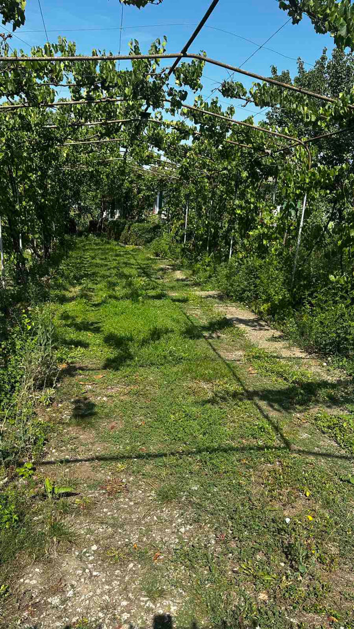 Vind casa Goleni raionul Edinet