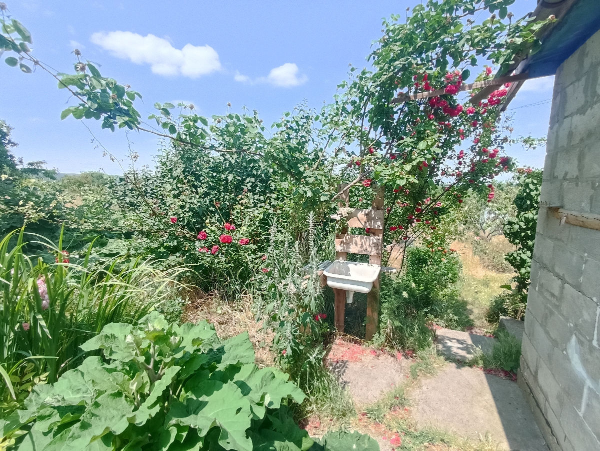 30 ari - teritoriul parcului national