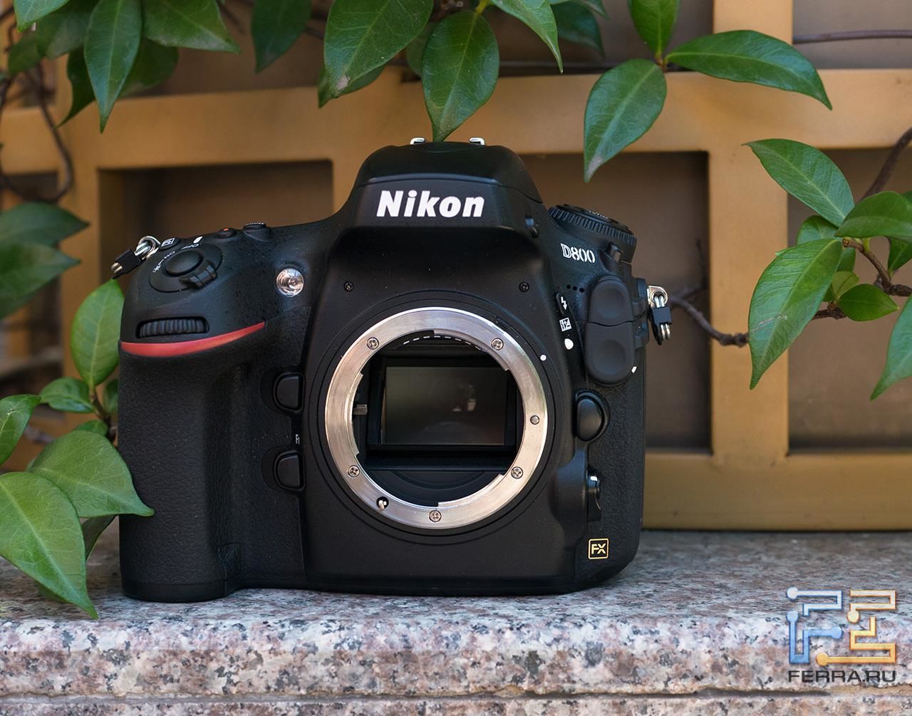 Nikon D800 Body Sigma Art 24 70mm 2.8F.