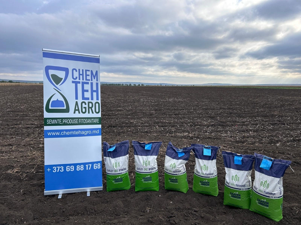 Seminte Profesionale pret adecvat