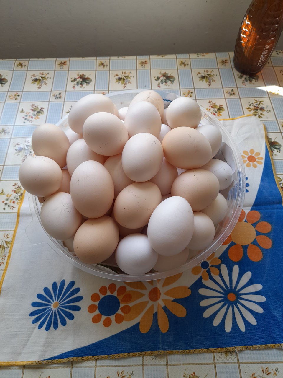 Vind oua de gaina de casa