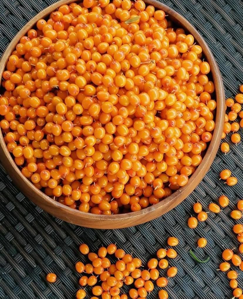 Lolly Berry. Облепиха, Голубика, Клюква, Вишня, Черешня, Клубника