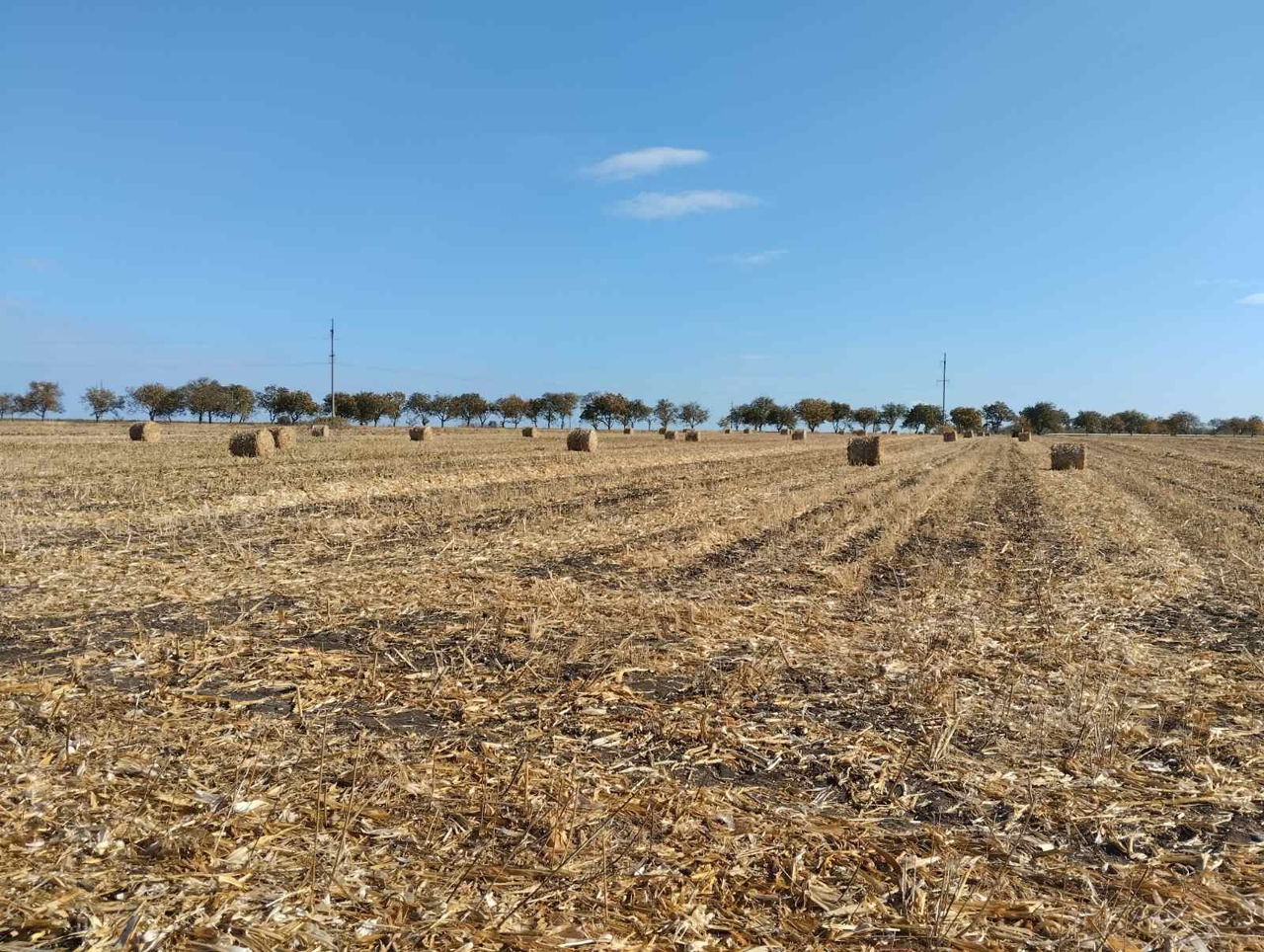 Vindem Baloti de panuse de porumb