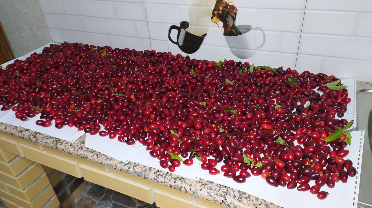 Coarne Кизил 30 lei