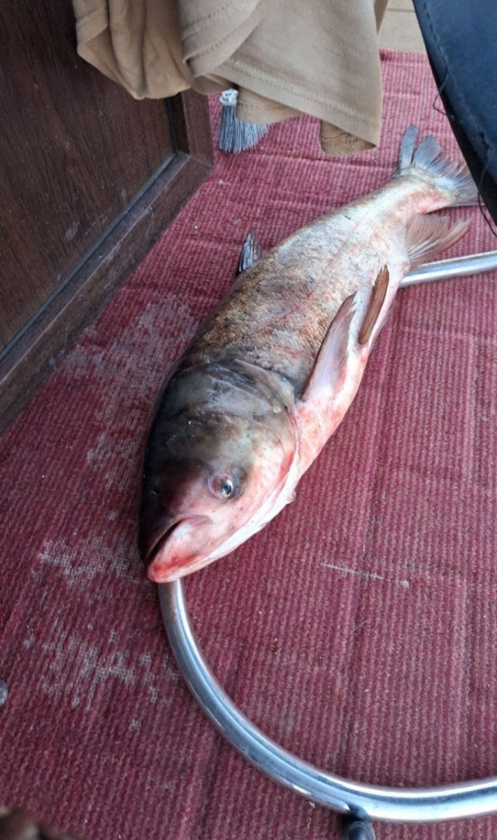 Озеро, iaz, 4ha Strășeni