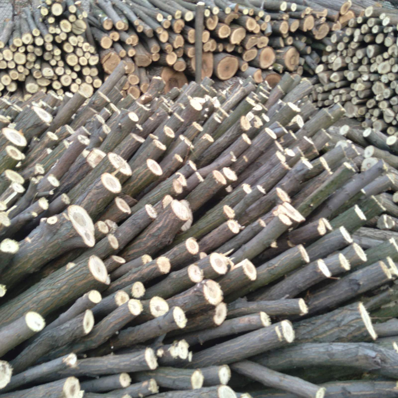 Se vinde lemne da salcim