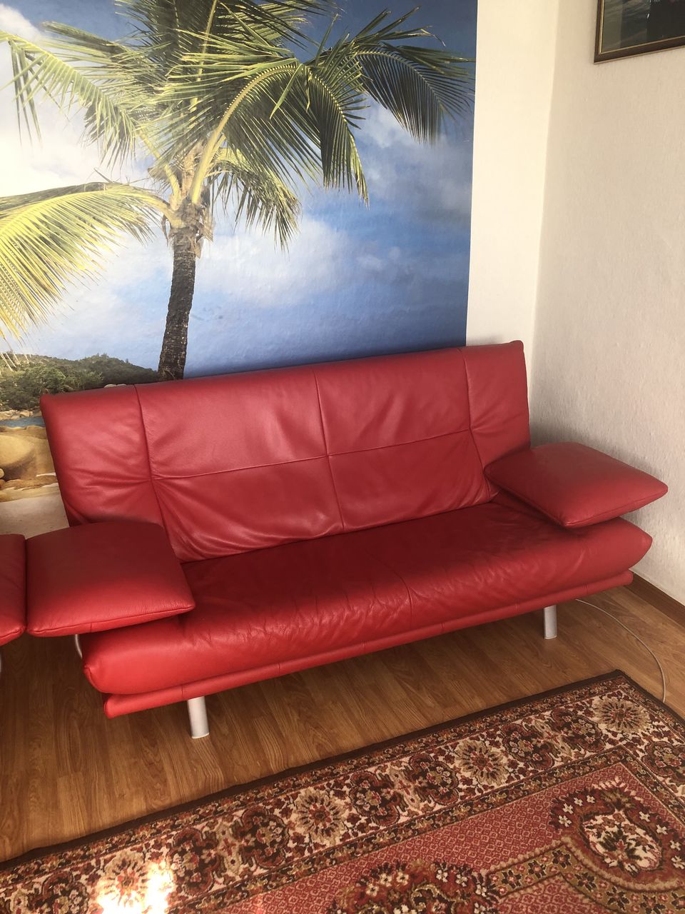 Canapele/ Sofe din piele