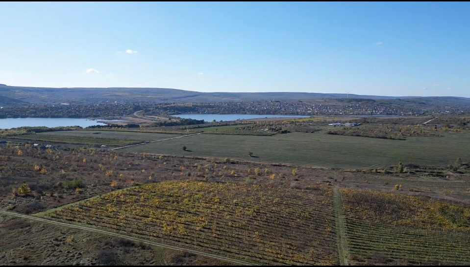 Teren agricol, Suruceni, 13 hectare