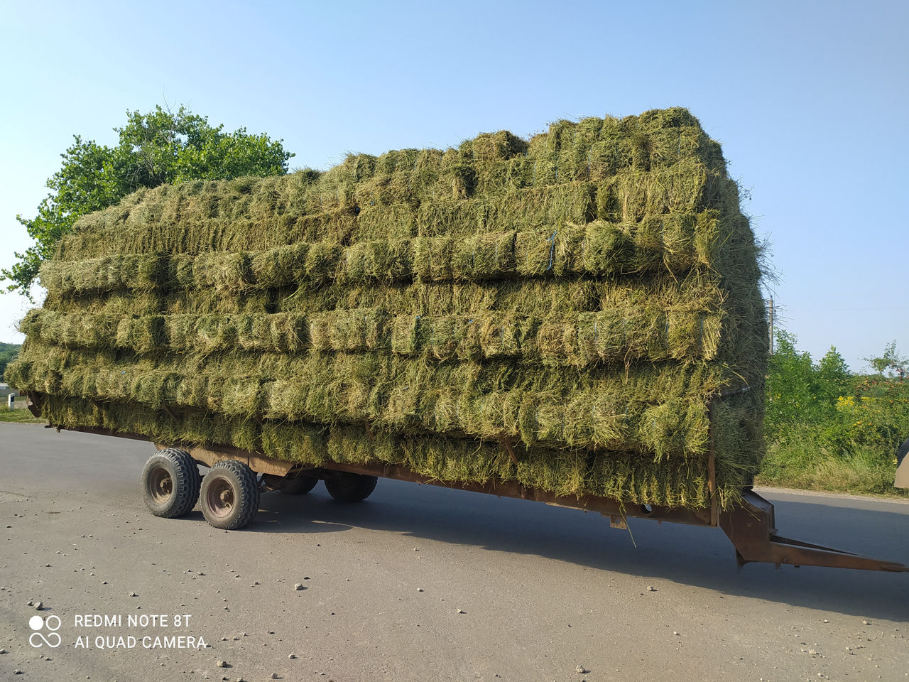 Vind baloti de lucerna