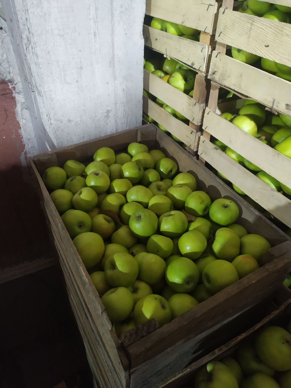 Vînd mere Simerenco la bus