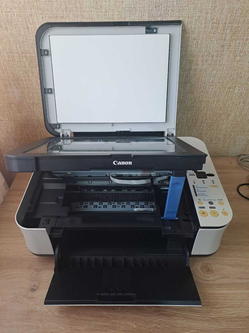 Canon Pixma MP250 + Чернила.