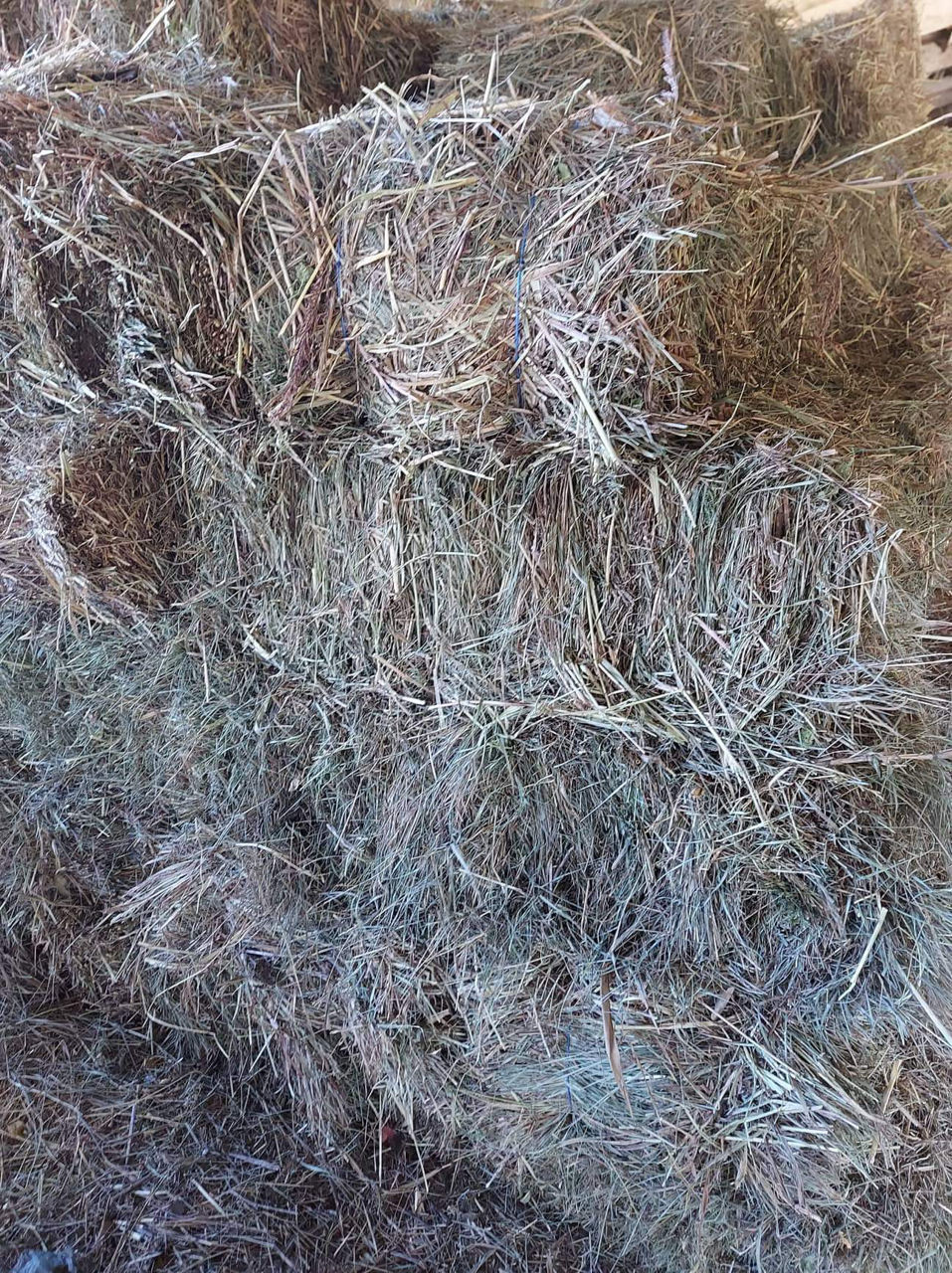 Vindem baloti de fin