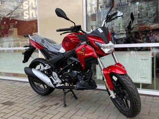 Zongshen ZS250-76 an. 2024 cu rulaj 1 km, 37000 MDL
