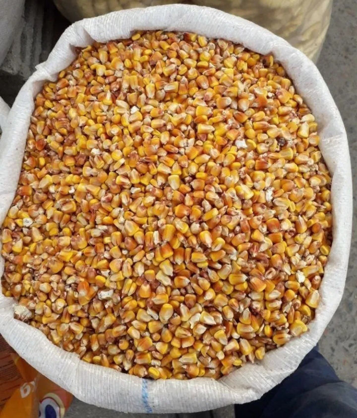 Vând porumb 3.90 fac și livrare.