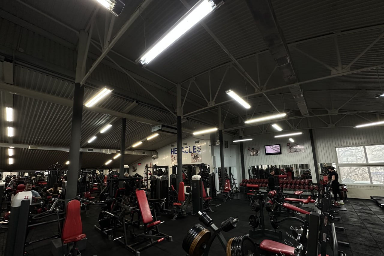 sala de forta (sec. Botanica)