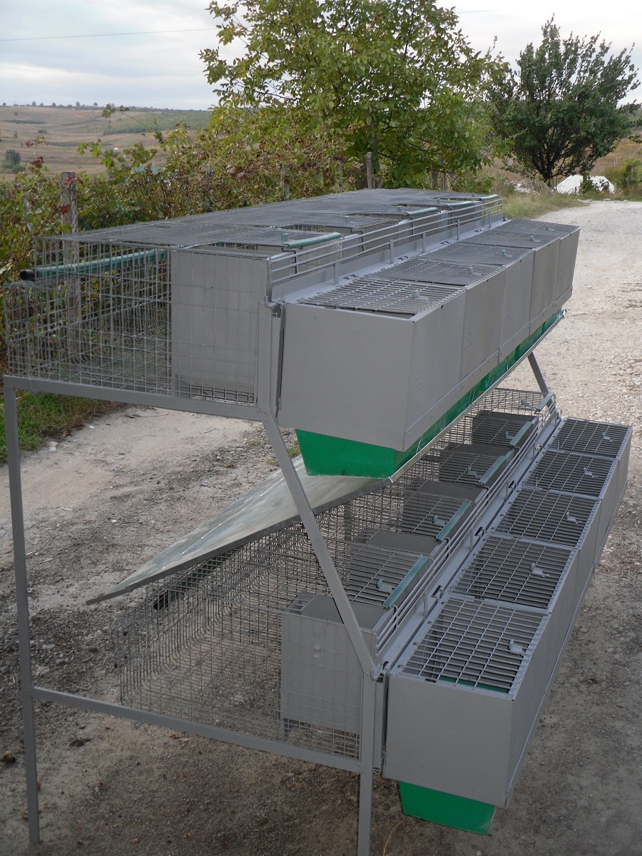 Custi pentru creșterea iepurilor