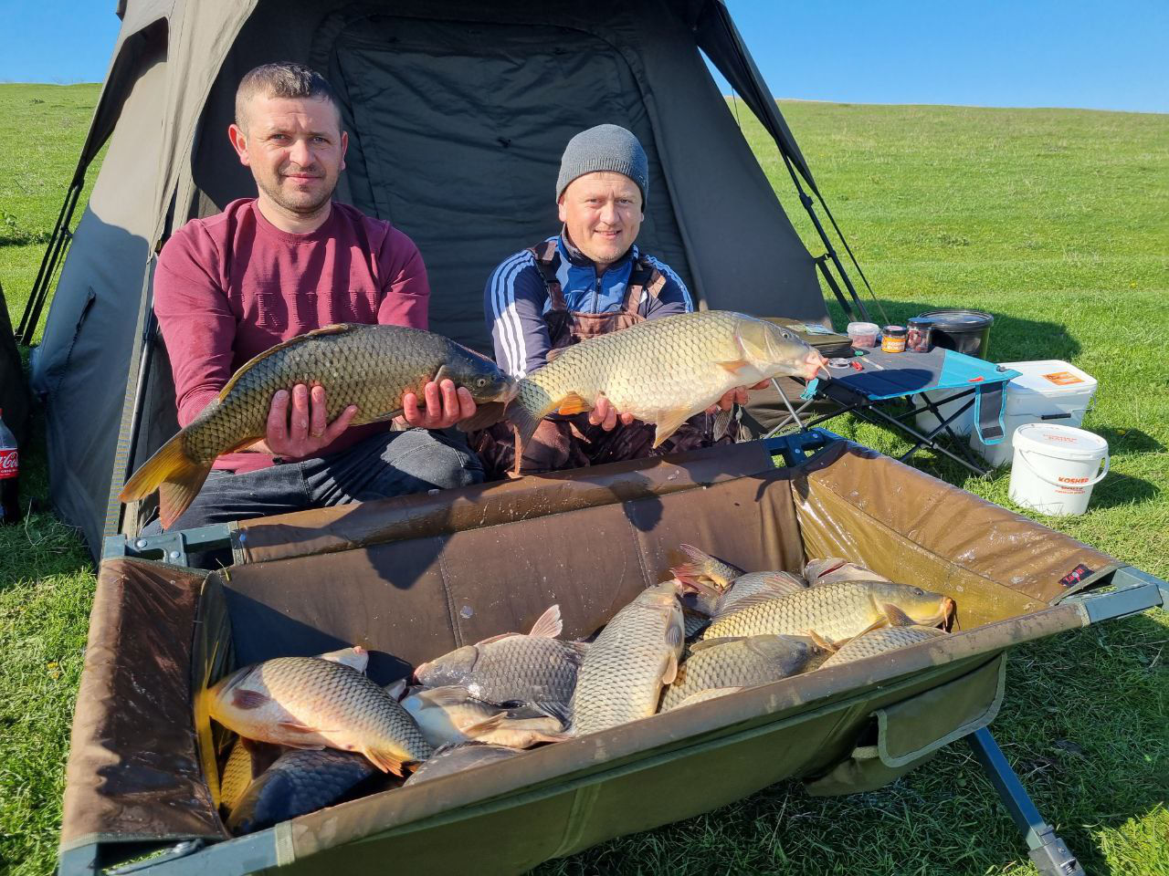 Pescuit la crap și amur, capturi mari