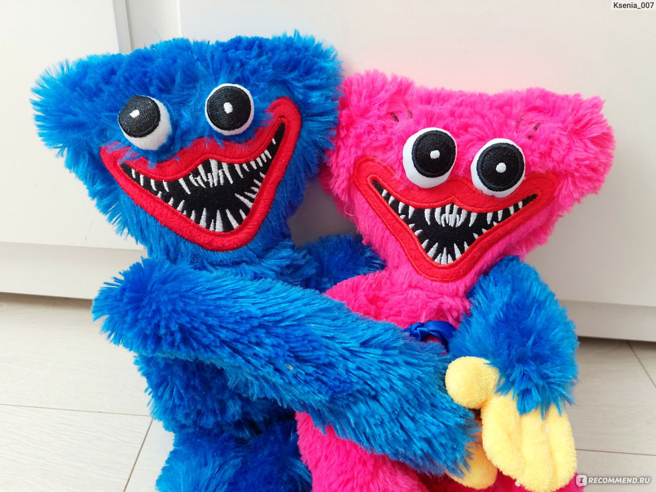 HAGGY WAGGY și KISSY MISSY