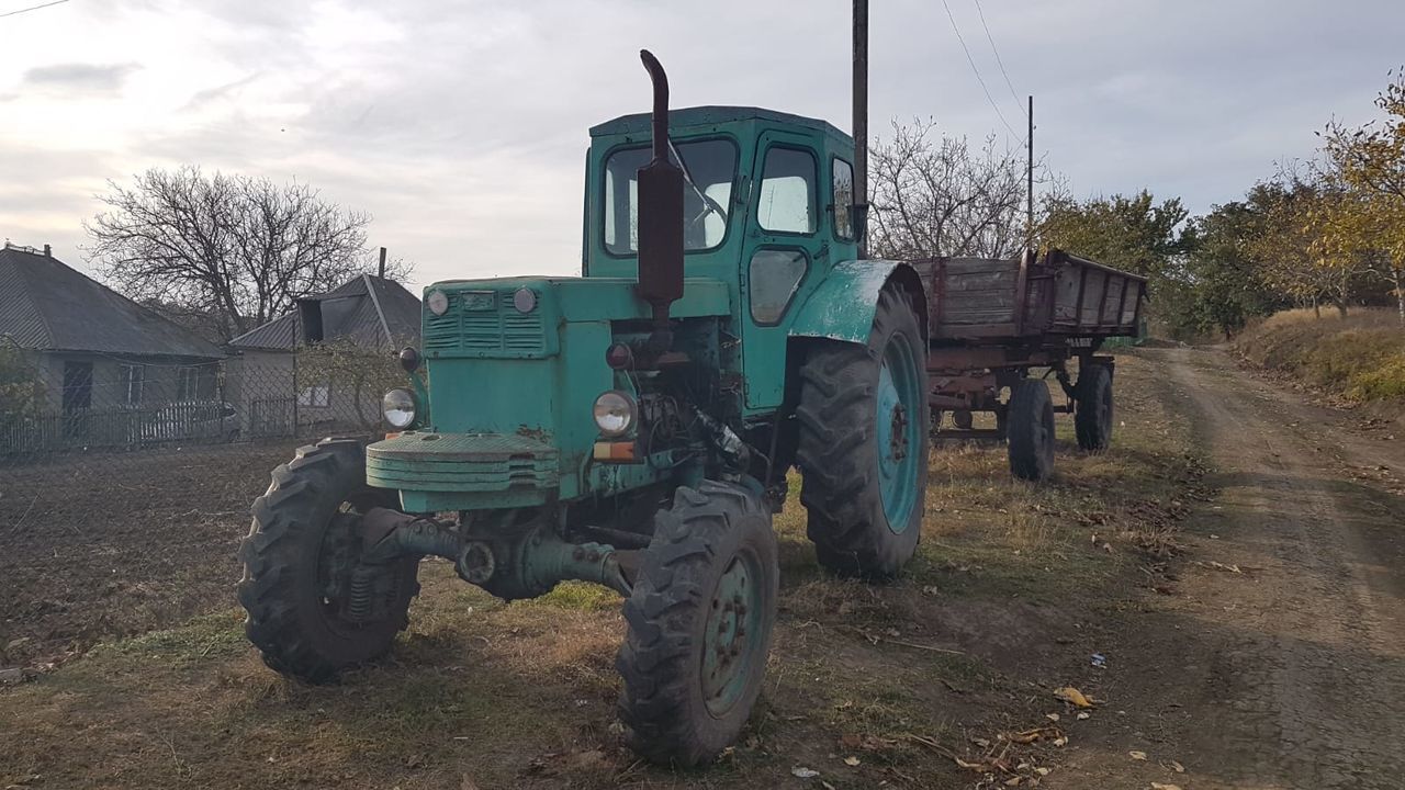 T40