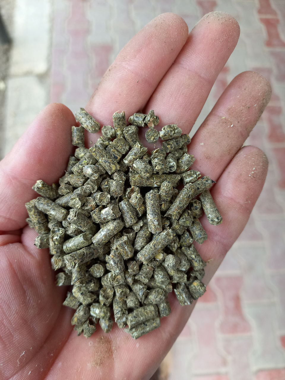 Granule pentru purcei