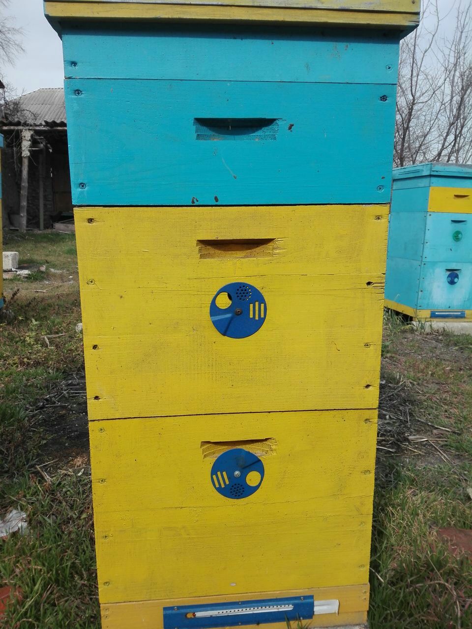 Продаю всё что связанно с пчеловодствам
