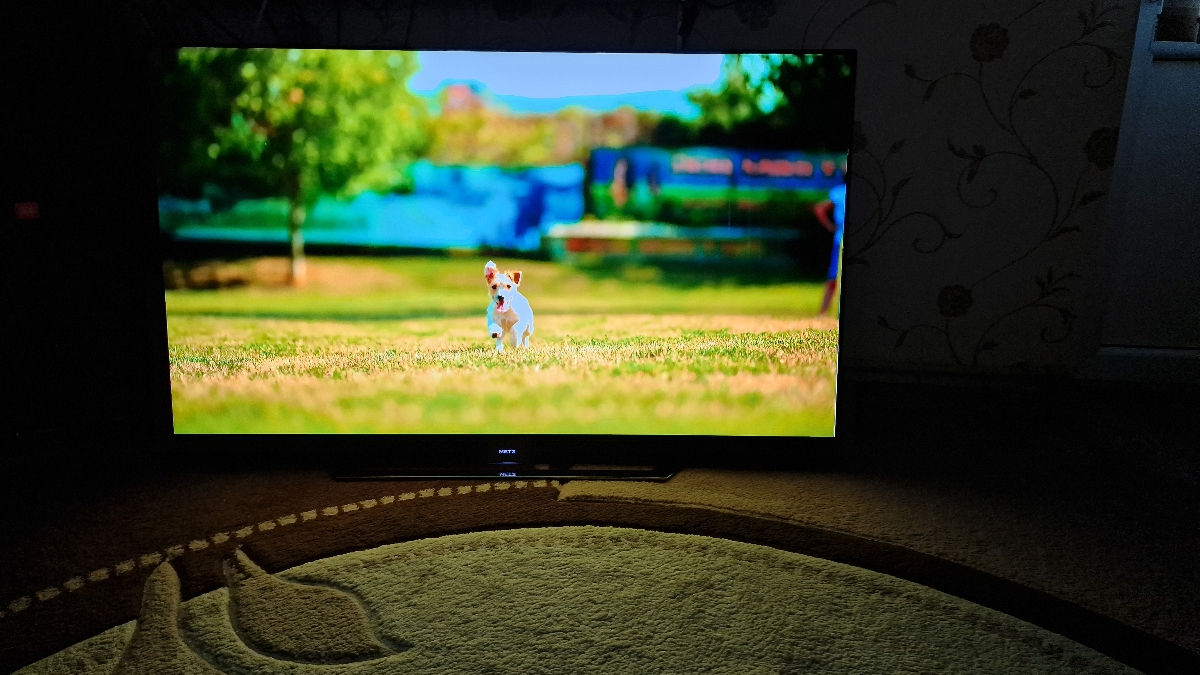 Oled телевизор 55дюймов