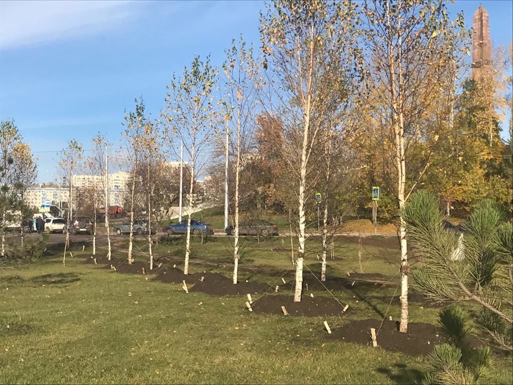 Sapam facem curatenie sadim