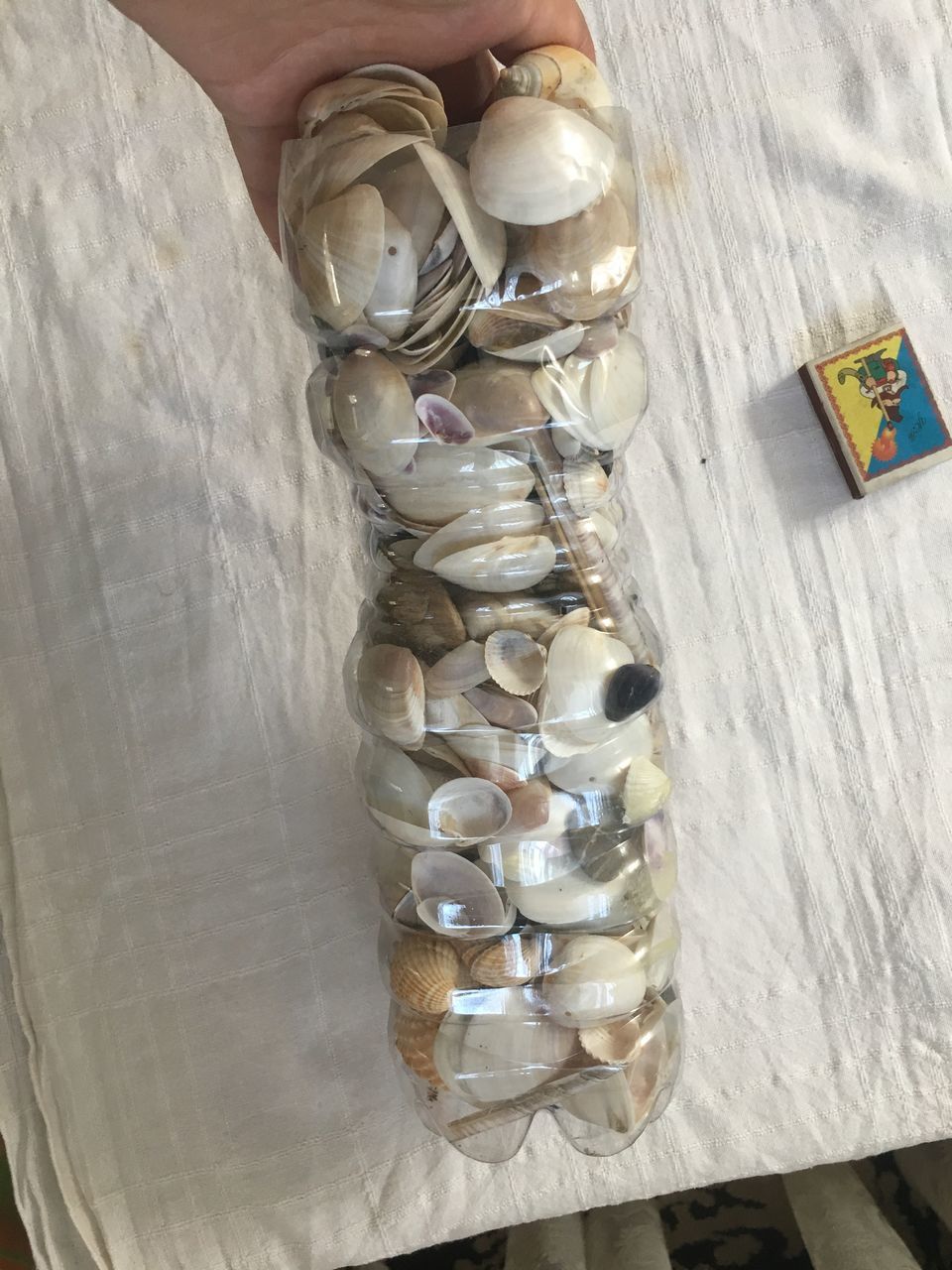 Scoici naturale de mare, mari, toate din foto, cele 9 mari din ambele ...