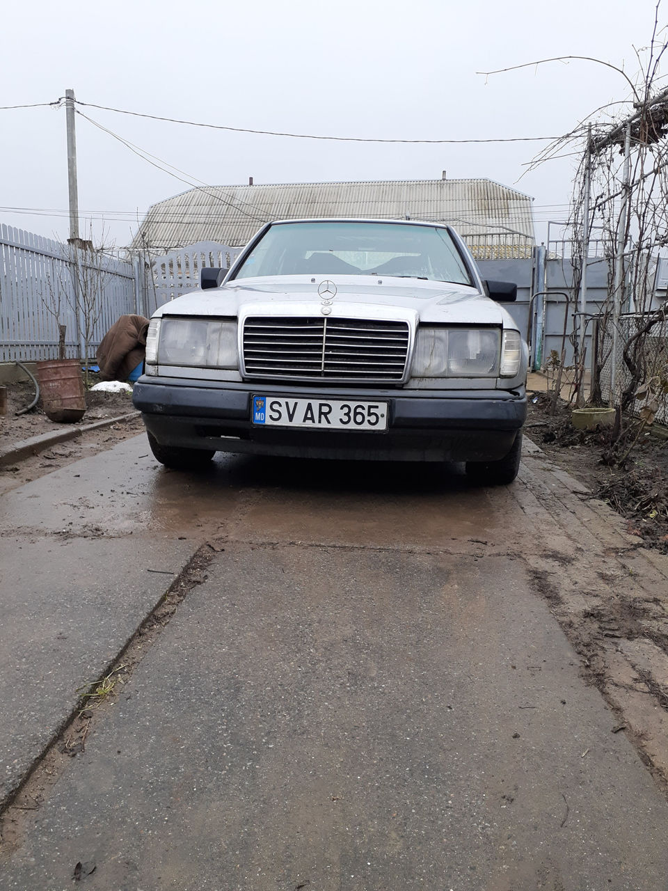 Mercedes Series (W124)