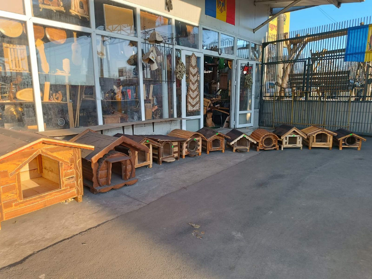 Căsuța pentru Căței