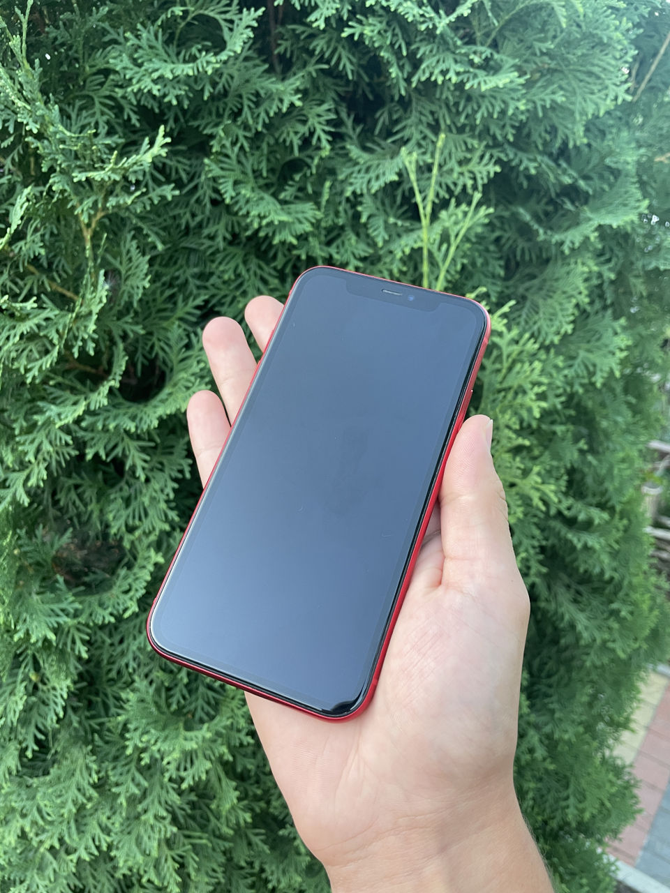 iPhone 11 Red Ideal 64GB Original! - EroFound