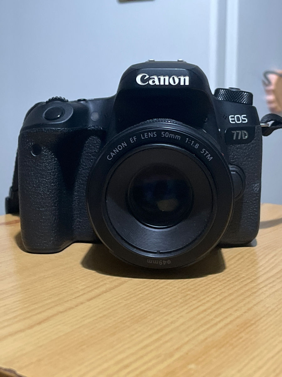 Canon 77D + 50mm 1.8