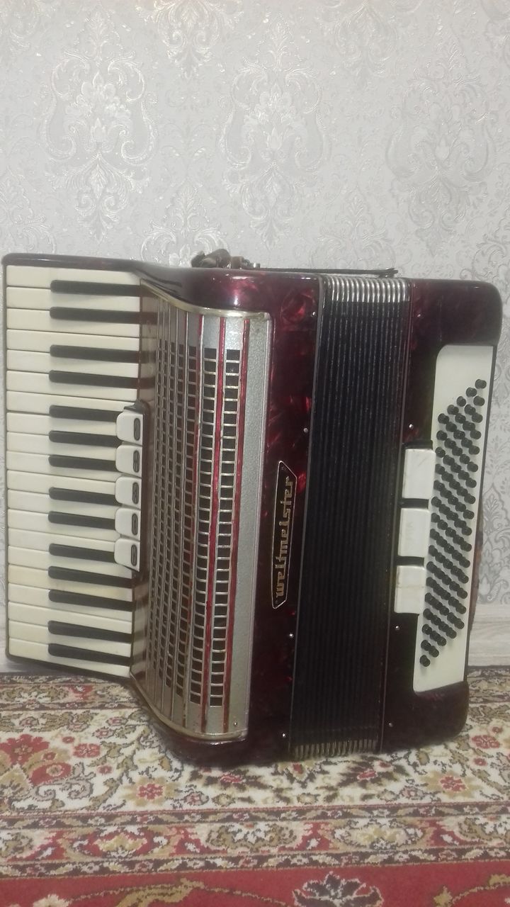 Acordeon weltmeister