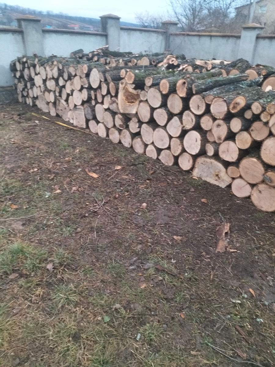 Lemne de foc(toate speciile)