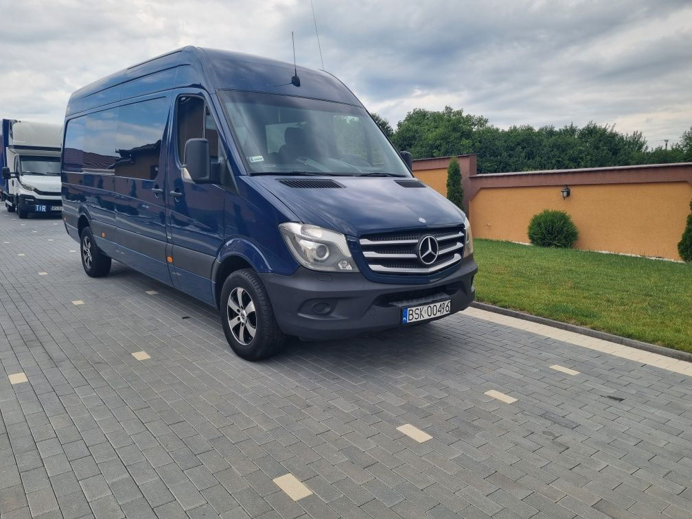 Hamali cu transport bus