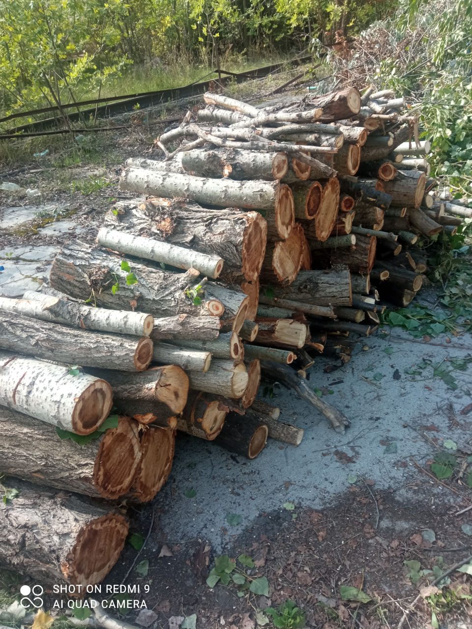 De foc lemne, este livrare