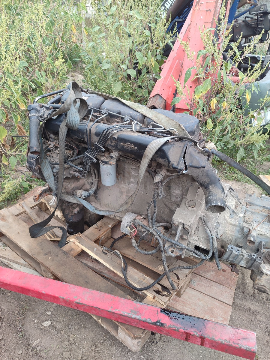 Motor man D0826