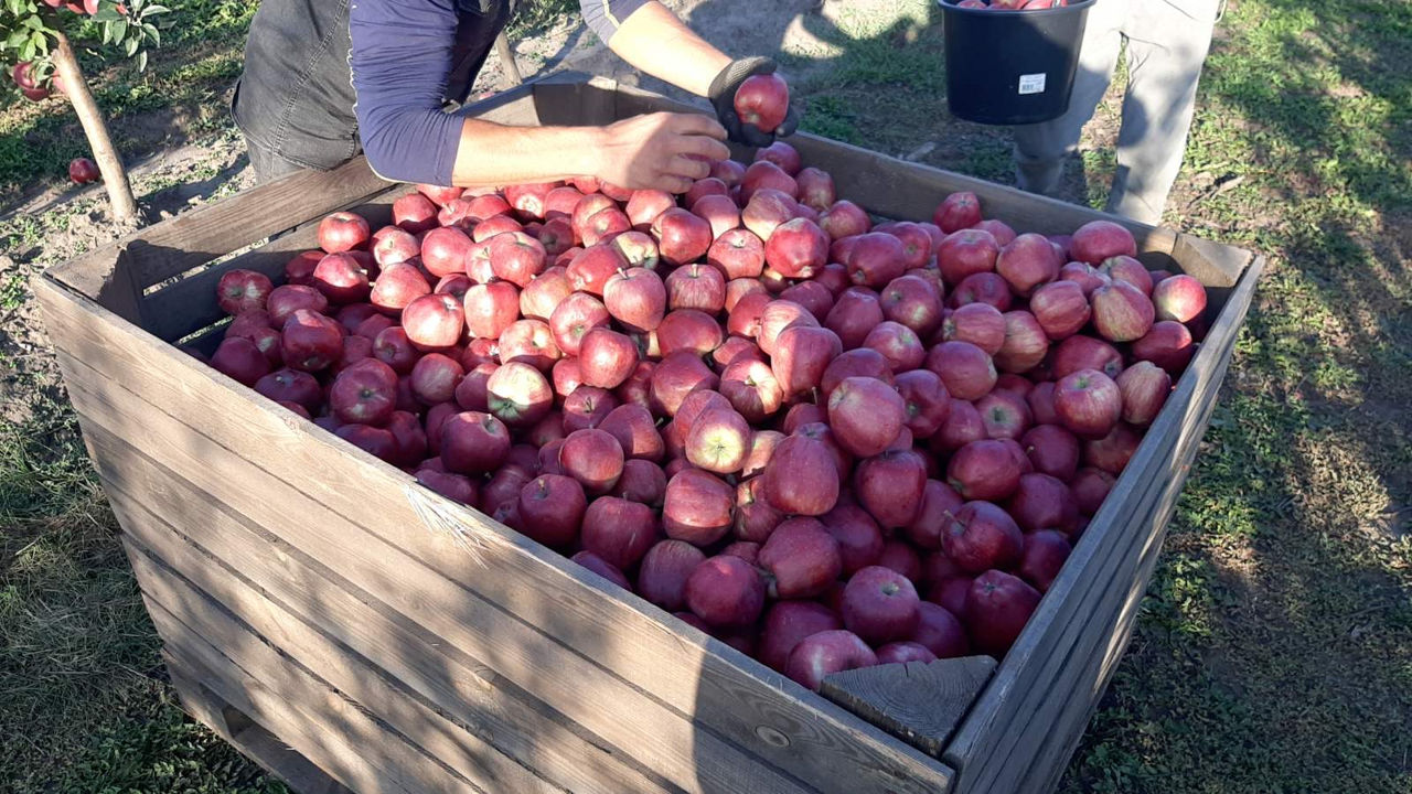 Vindem mere Super Cif