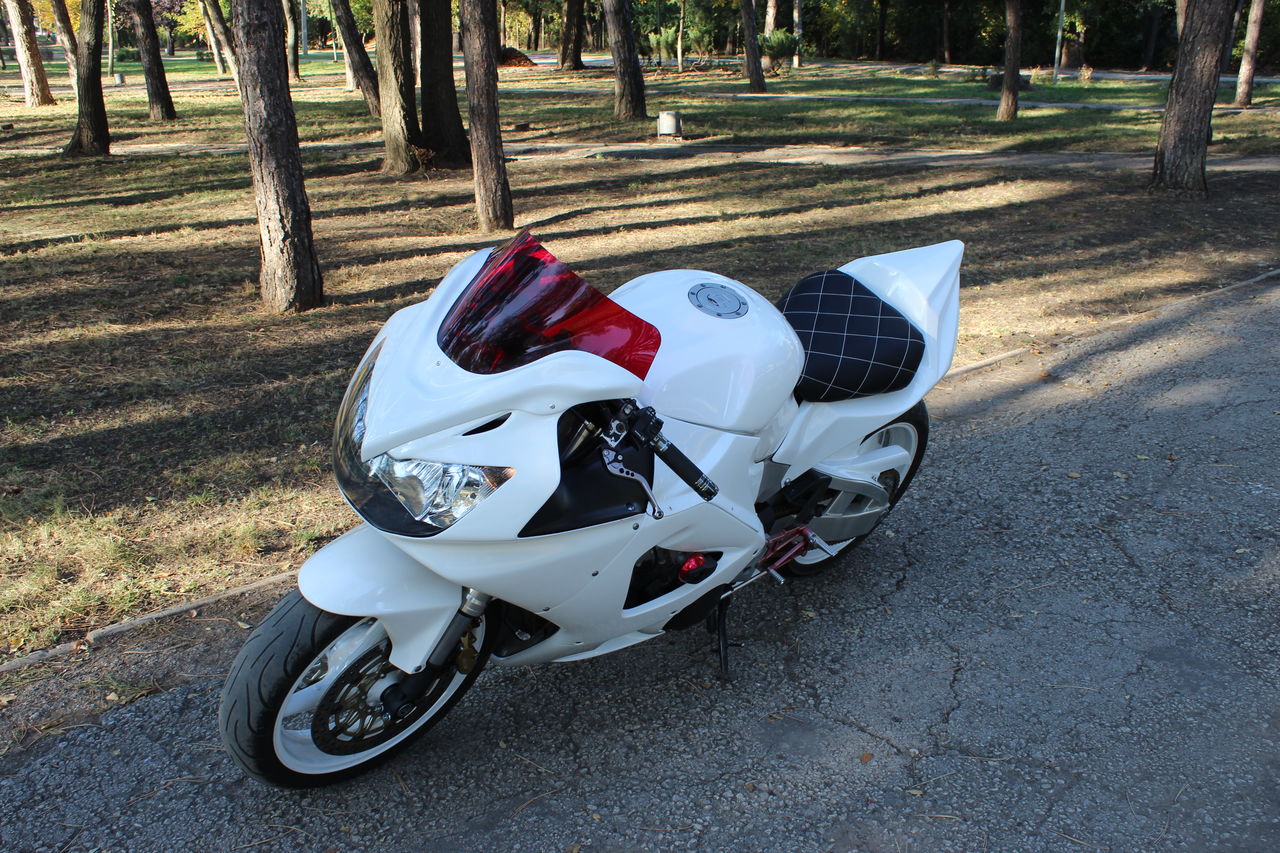 Honda CBR 929RR