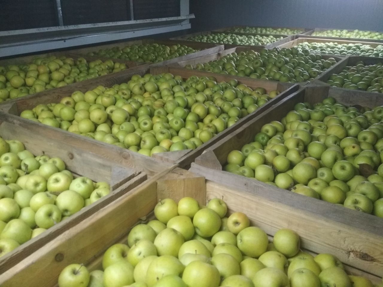 Vind mere Golden Delicios, Simirenco